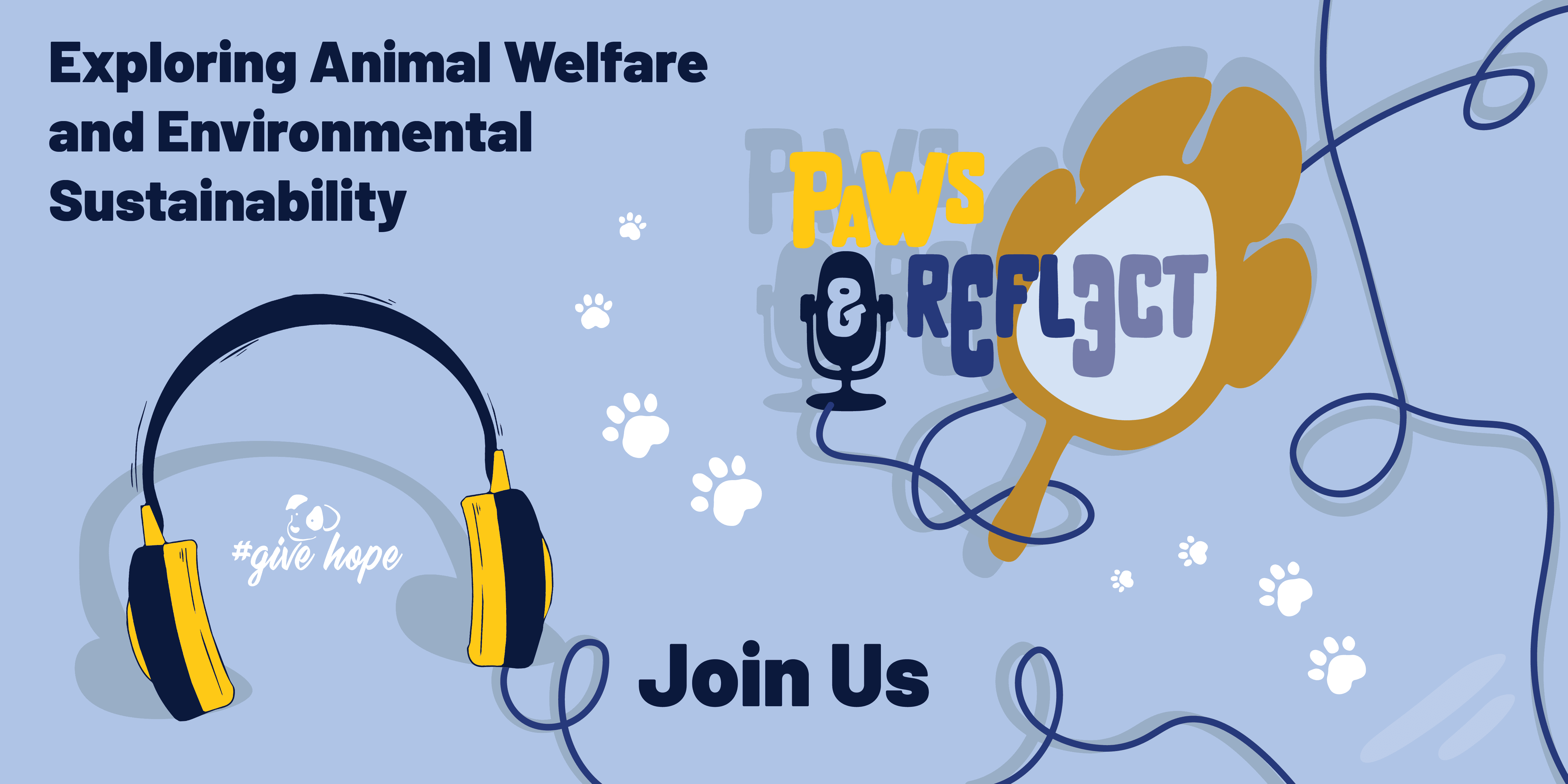 Paws and reflect - ROLDA